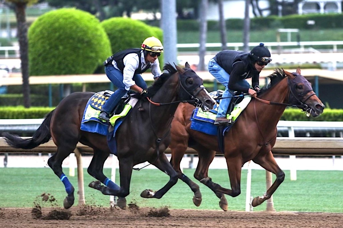 Baffert's Preakness Duo Muth, Imagination Breeze Six Furlongs Together ...