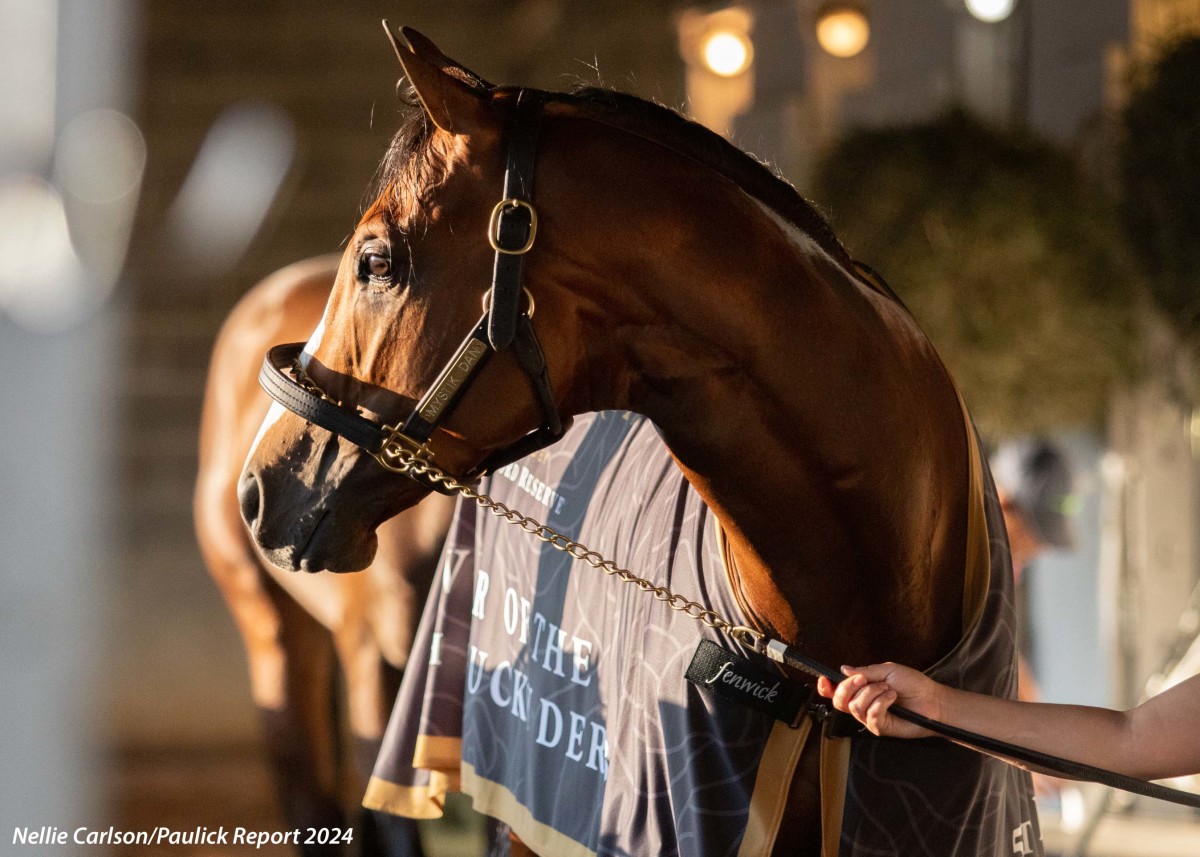 Kentucky Derby Winner Mystik Dan Has Seven Rivals In Santa Anita's ...