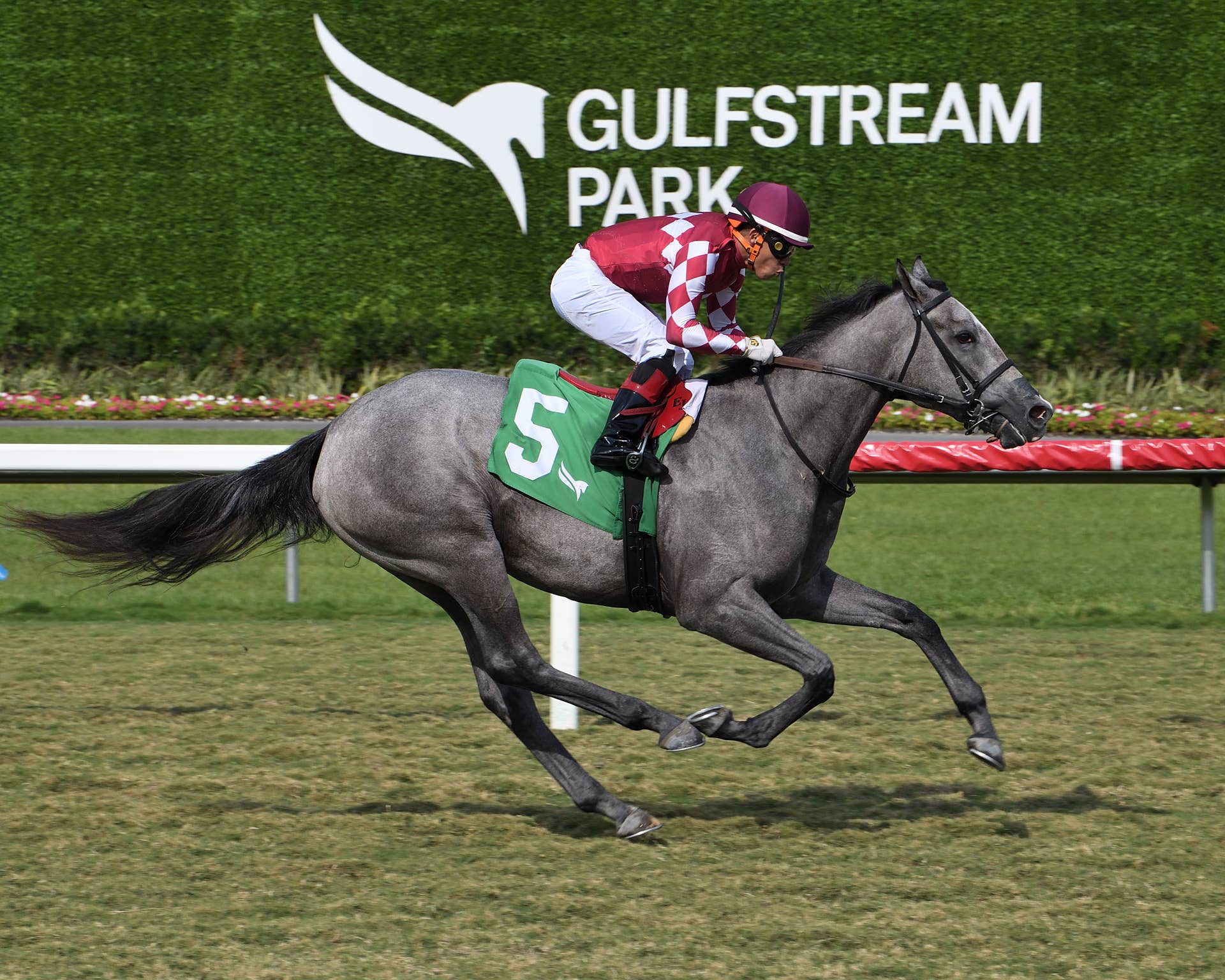 Winners Take Different Trips In Gulfstream's Royal Ascot Qualifiers ...