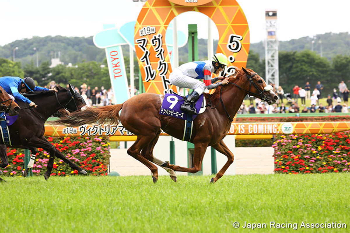 Ten Happy Rose Springs Huge Upset In 'Win & You're In' Victoria Mile In ...