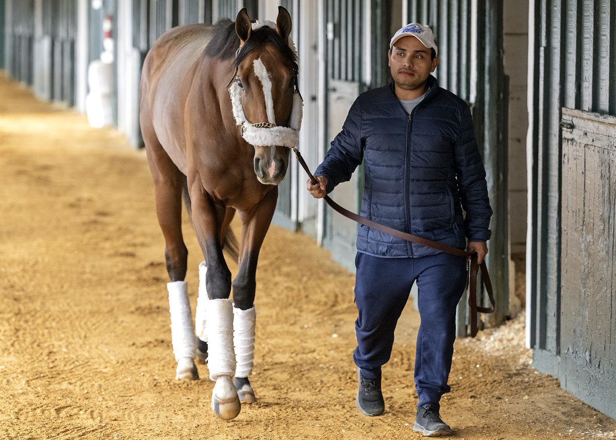 'The Industry Needs Him': Kentucky Derby Winner Mystik Dan Arrives At ...