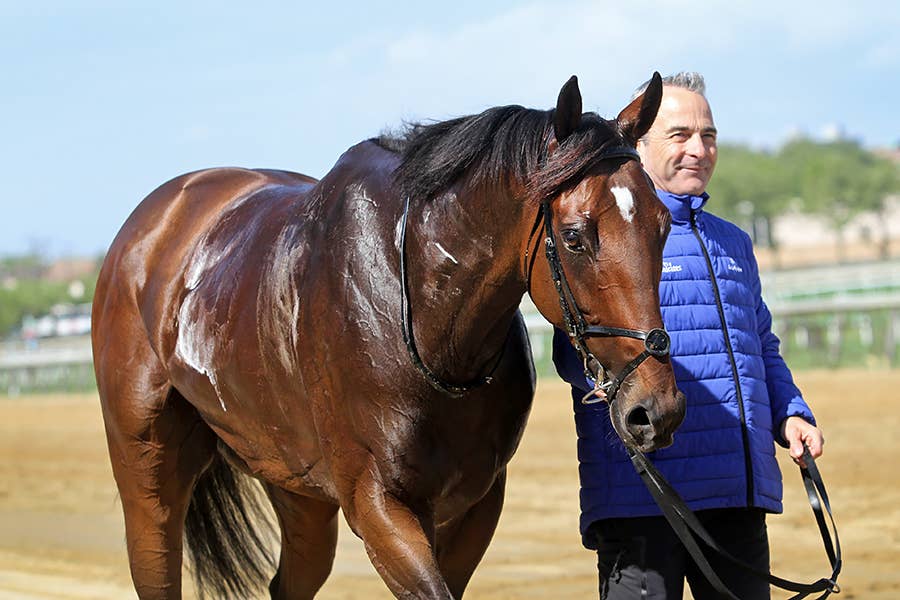 'He's Found A New Dimension': Silver Knott Seeks Third Straight Win In ...