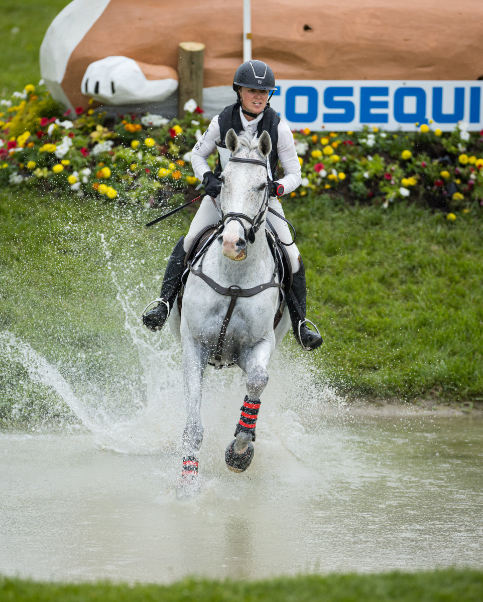 Thoroughbreds In Maryland 5 Star Embody Different Positive Qualities Of ...