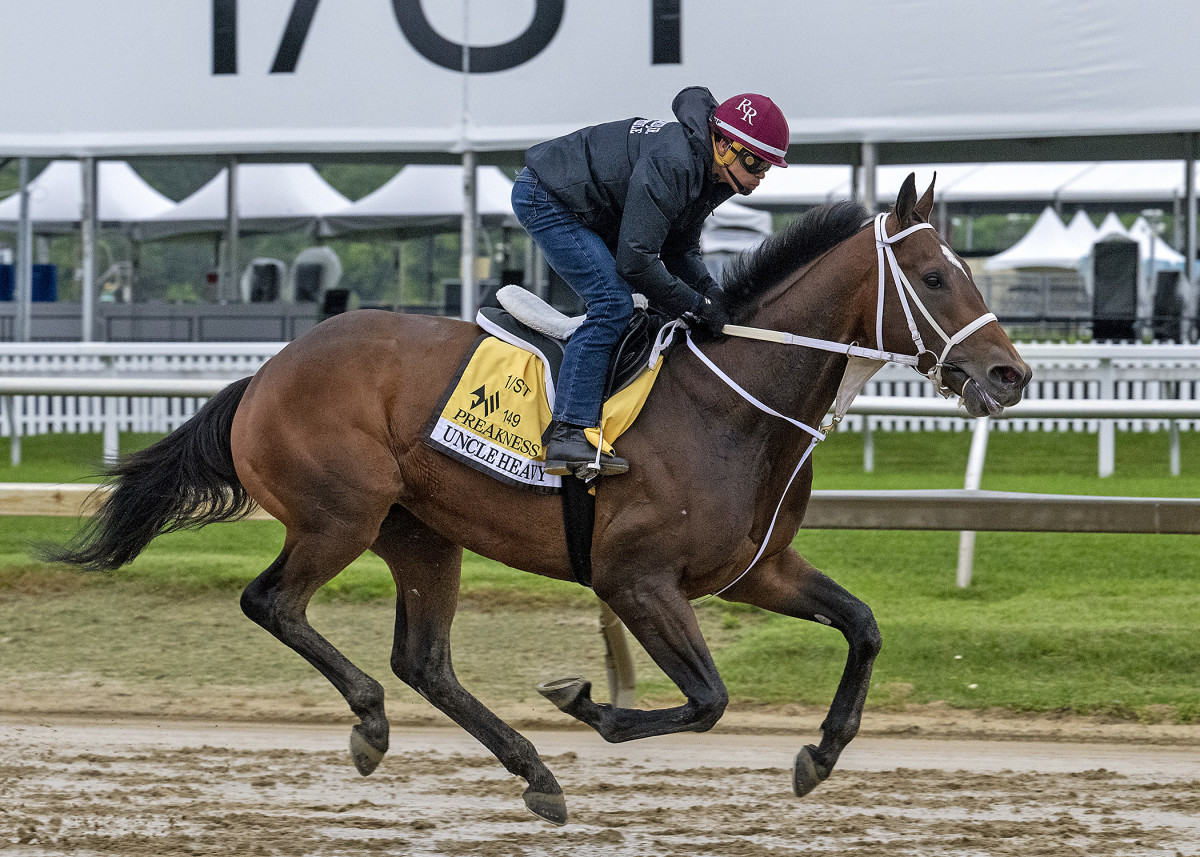 Preakness: Uncle Heavy Produced From $1,700 Mare, $5,000 Stud Fee ...