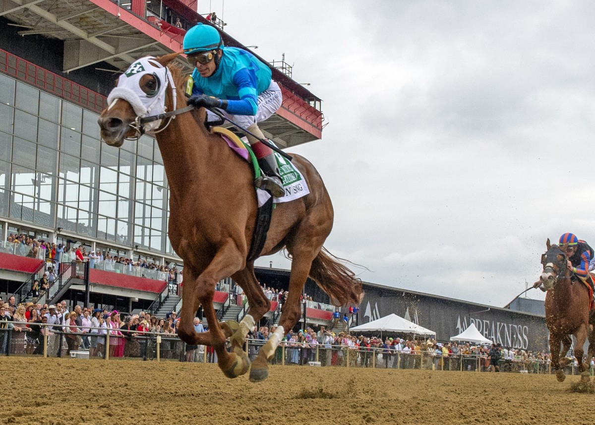 'All Set': Gun Song Seeks More Graded Success In Mother Goose - Paulick ...