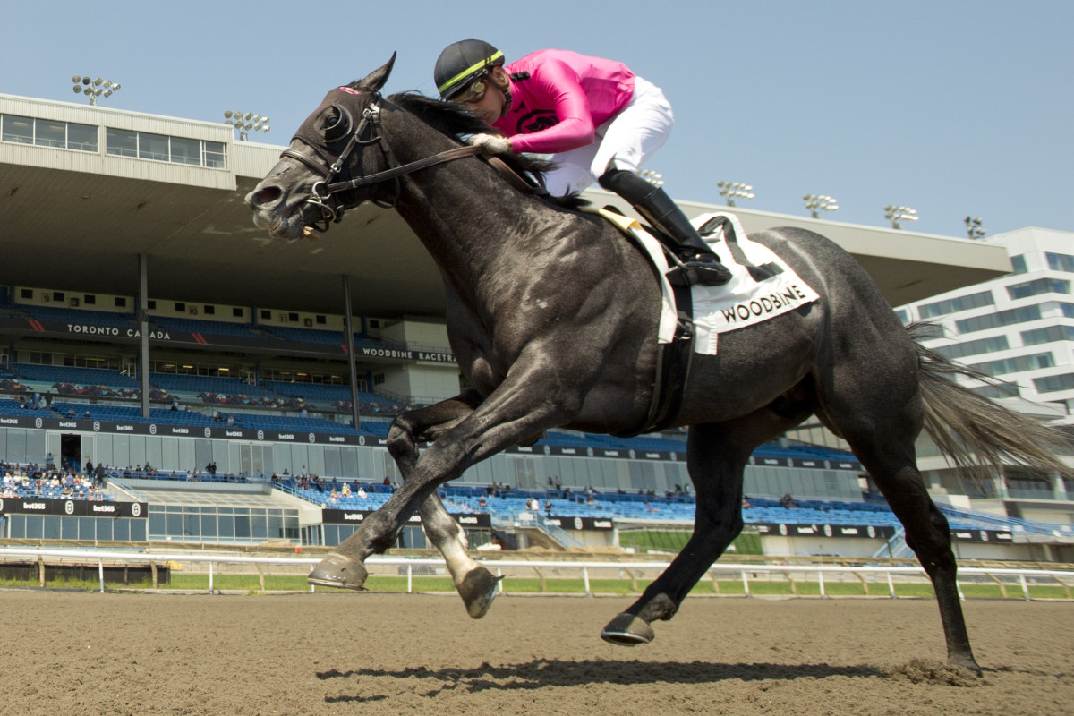 My Boy Prince Takes Woodbine's King Corrie, Stamps Himself Horse To ...
