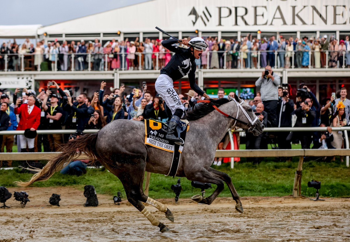 Seize The Grey Rises To Third Spot In NTRA Top 3-Year-Old Poll ...