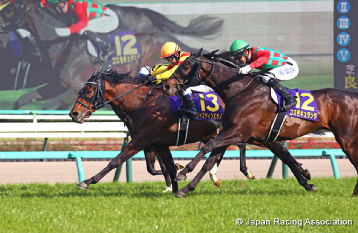 Japanese Derby: Undefeated Justin Milano Tops Field Of 18 - Paulick ...