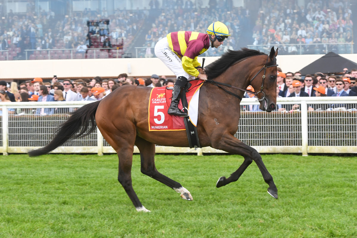 Australia: Monster Card For Doomben Cup - Paulick Report | Latest news ...