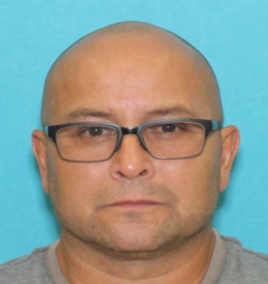 Pennsylvania State Police Request Public’s Help In Locating Horse ...