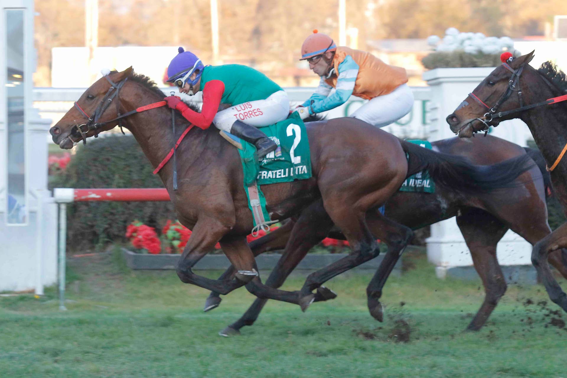 Late-Surging Frateli La Vita Secures Breeders' Cup Mile Berth In Chile ...
