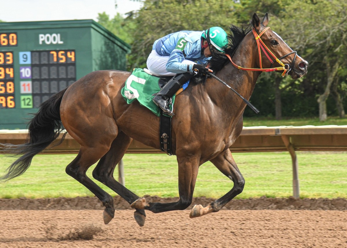 Jak N Burny Goes Gate-To-Wire In Barker Stakes - Paulick Report ...