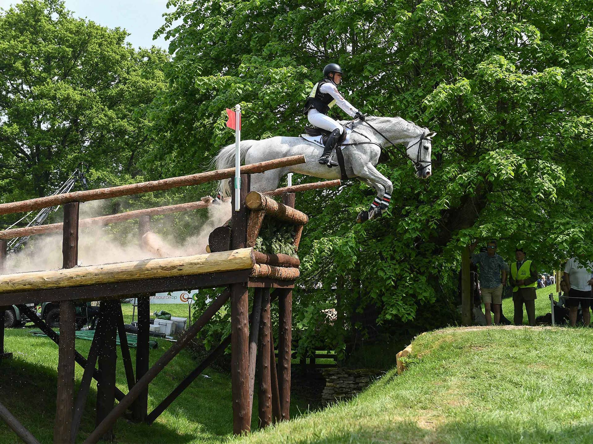 The Big Picture Presented By Excel Equine: Are Elite Eventers An Answer ...