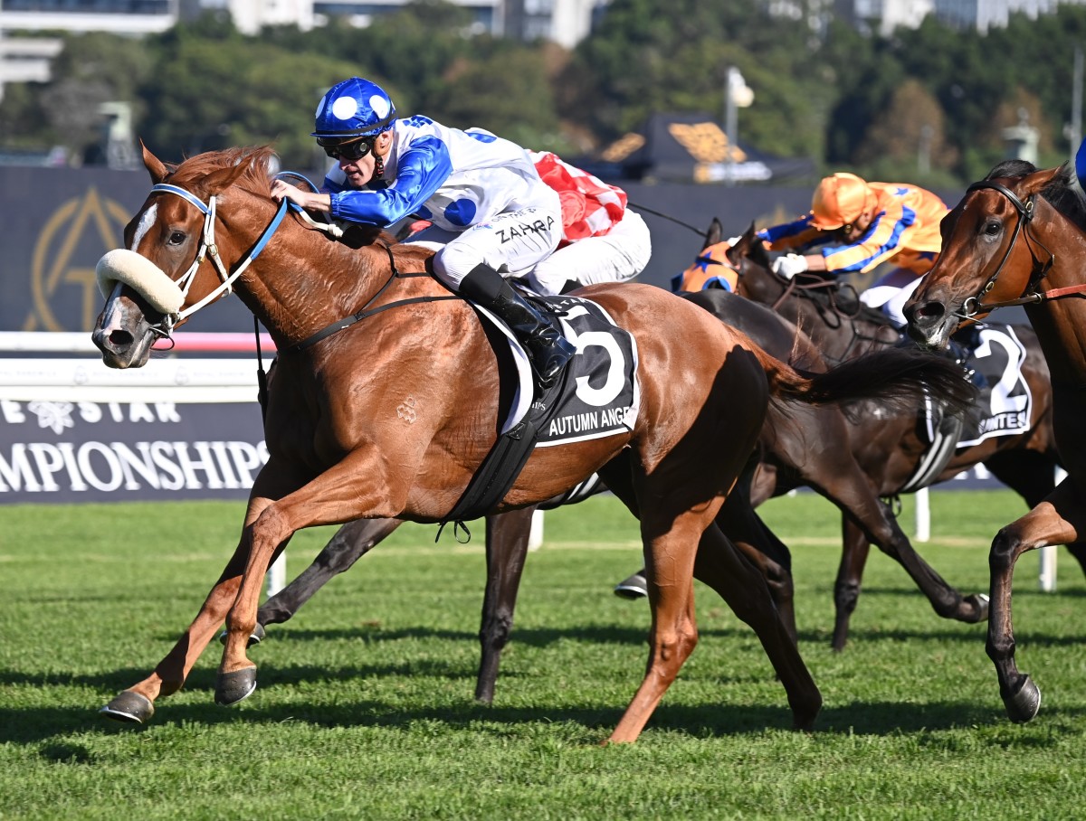 Australia: Peter Moody's QLD Derby Tonight - Paulick Report | Latest ...