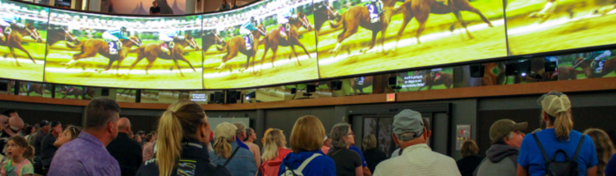 Kentucky Derby Museum Awarded $1 Million Grant To Upgrade 'The Greatest ...