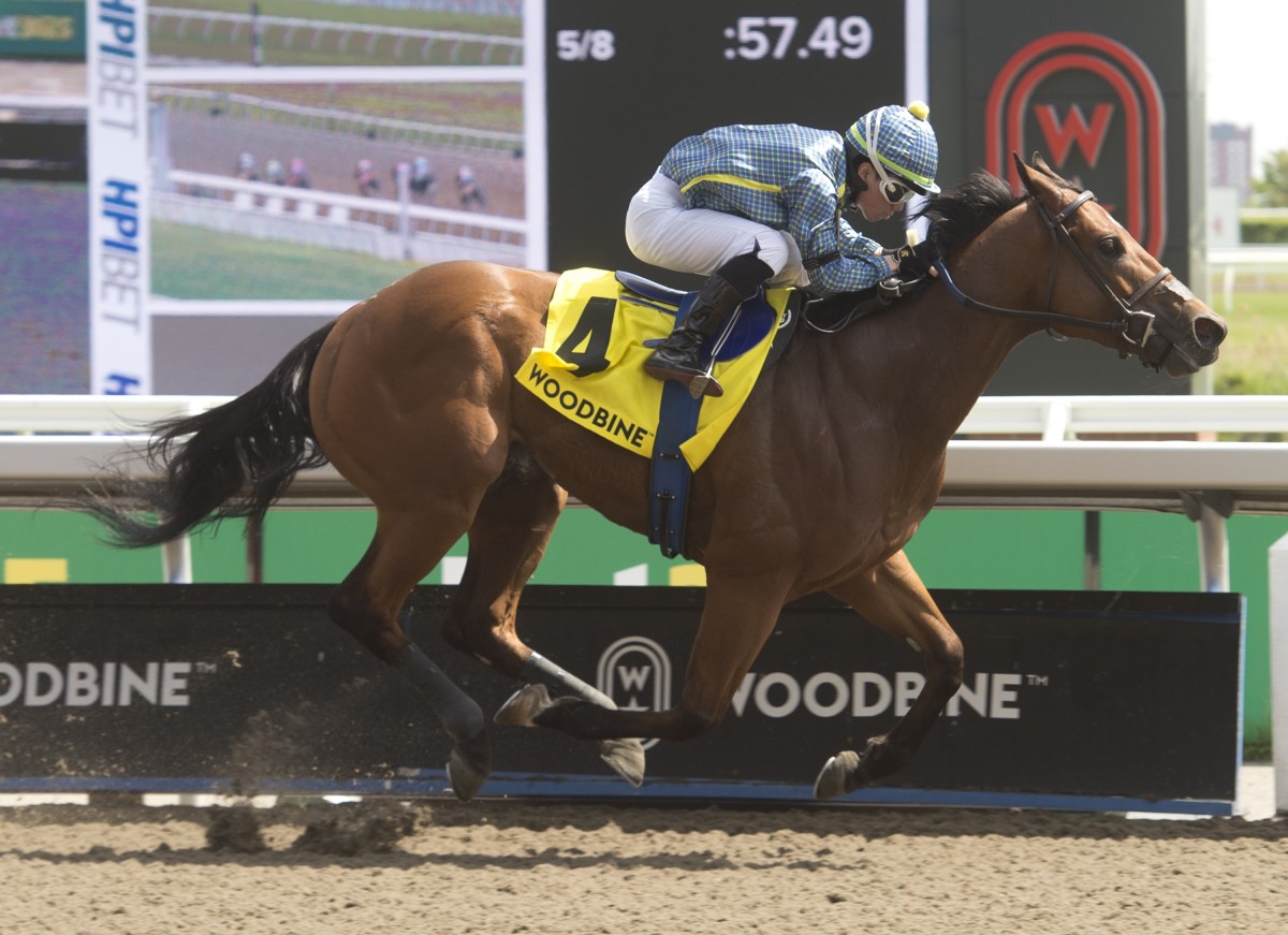 Australian-Born Flag Of Honour Faces 10 Rivals In Woodbine's Nearctic ...