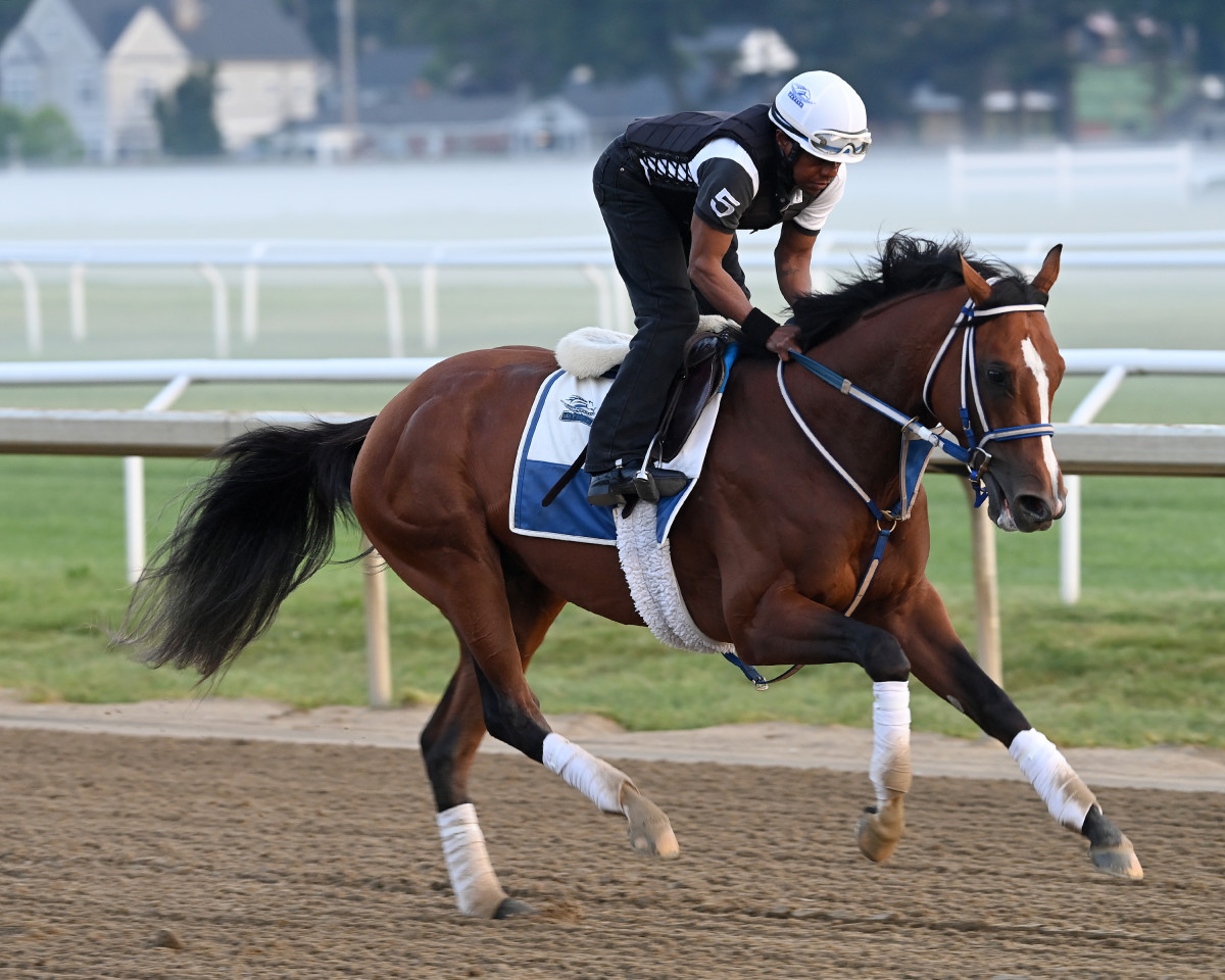 'He's Thrived': Kentucky Derby Winner Mystik Dan Could Start In Malibu ...