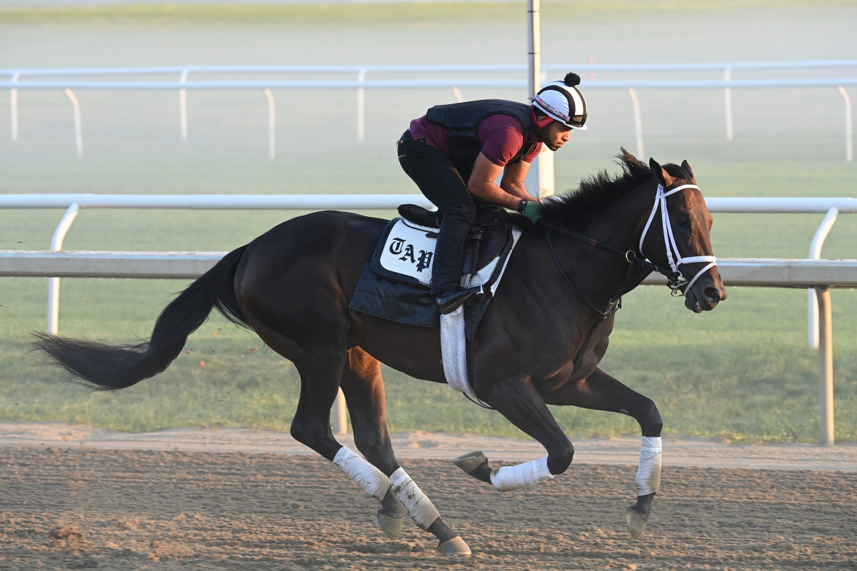 Mindframe Installed As 9-5 Favorite For 'Win And You're In' Haskell ...