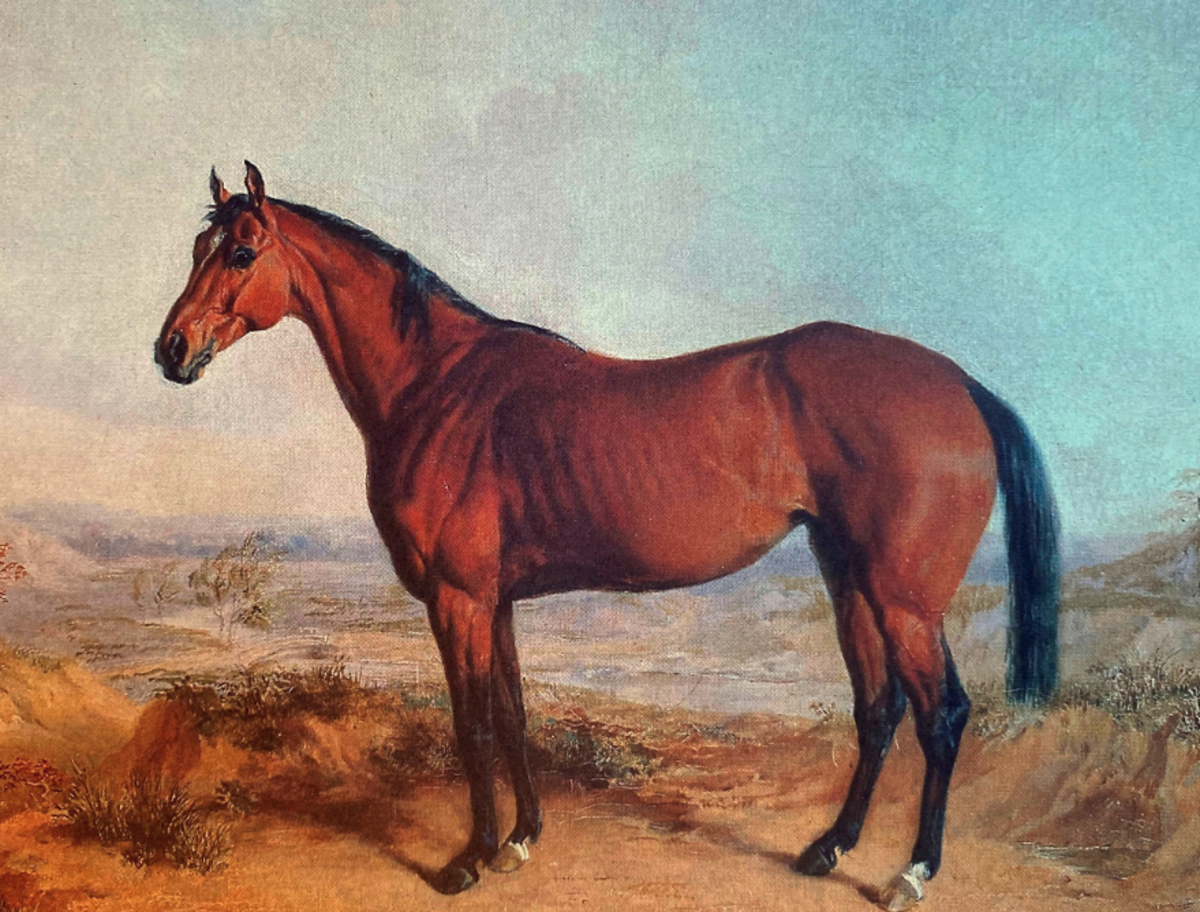 Belmont History Presented By NYRA Bets: A Trio Of Tough Fillies ...