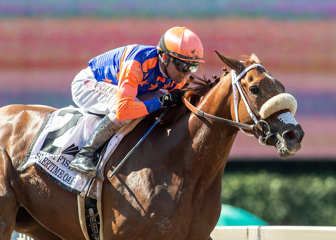 Sugar Fish Aims For Rebound In Zenyatta - Paulick Report | Latest news ...