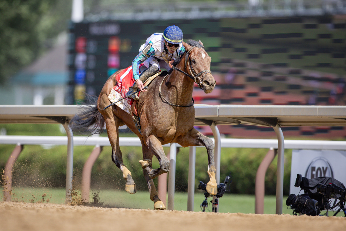 Book’em Danno, Repo Rocks To Square Off In Colonial Downs' Boston ...