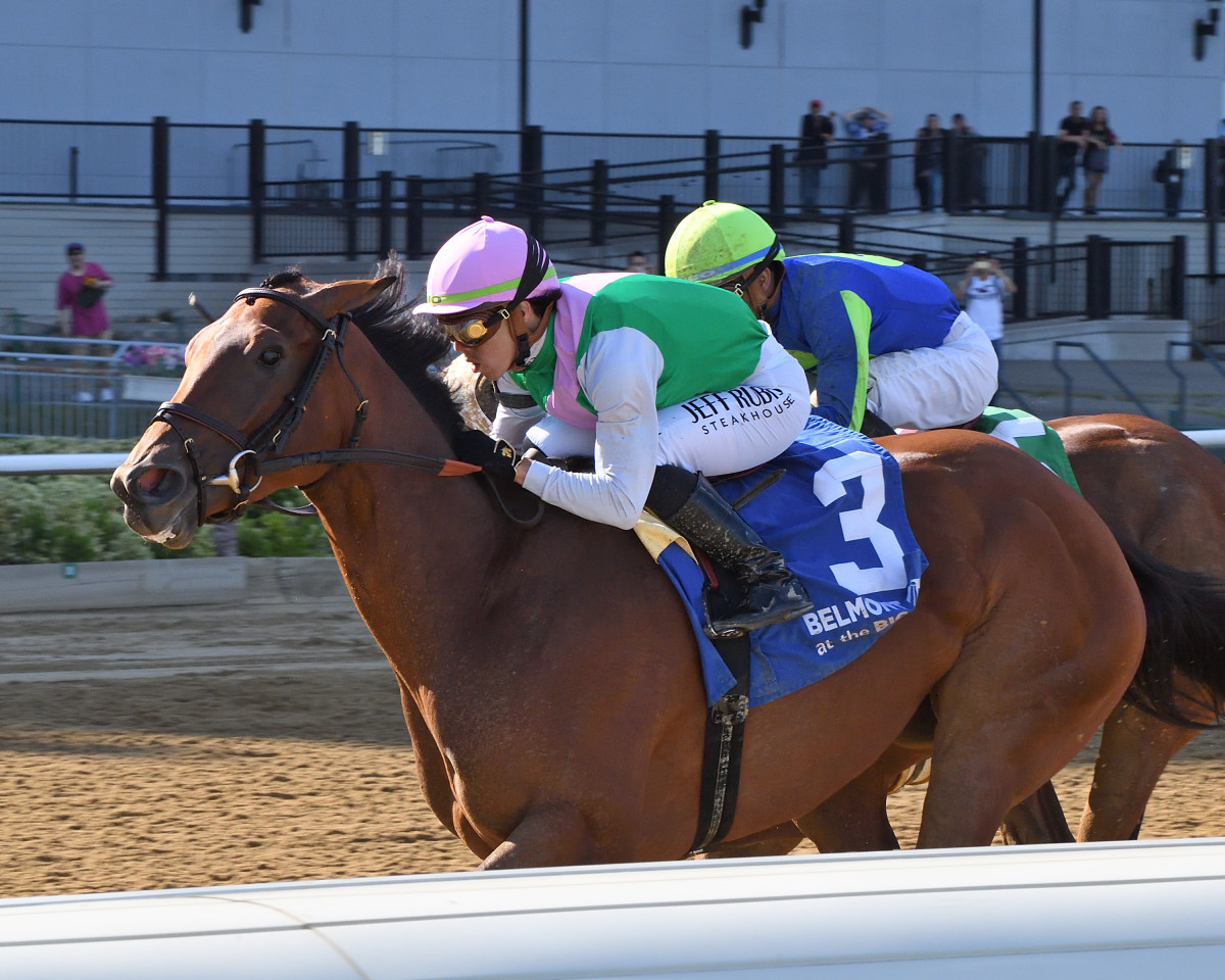 Bloodlines Presented By Walmac Farm: Accede Brings A Familiar Success ...