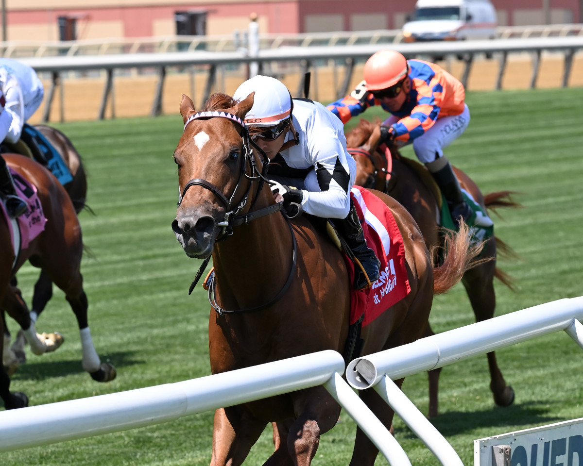 The Big Torpedo Fires Along Rail For NYSSS Spectacular Bid Victory ...