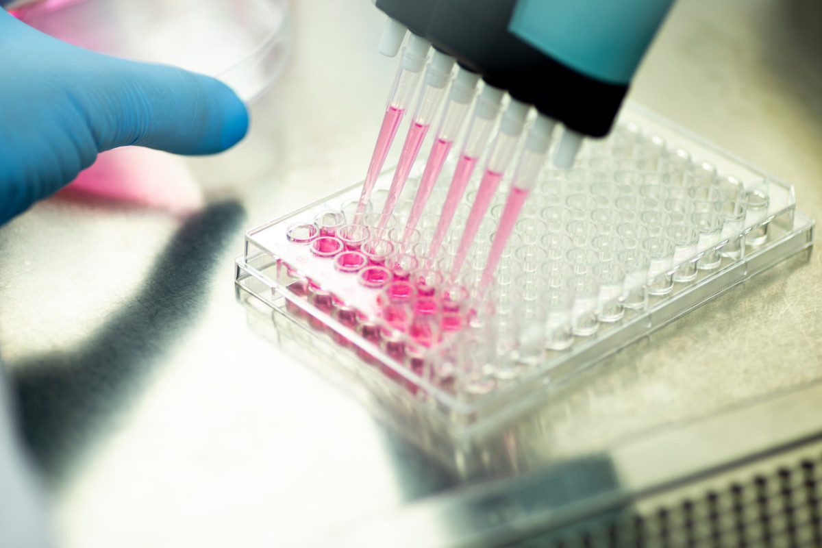 USDA Revokes EIA Testing Approval From Texas Lab After Falsified ...