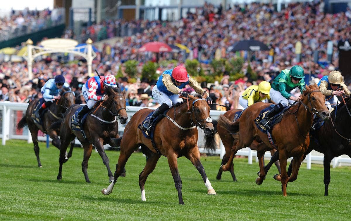 Bloodlines Presented By Walmac Farm: Royal Ascot Winner Shareholder ...