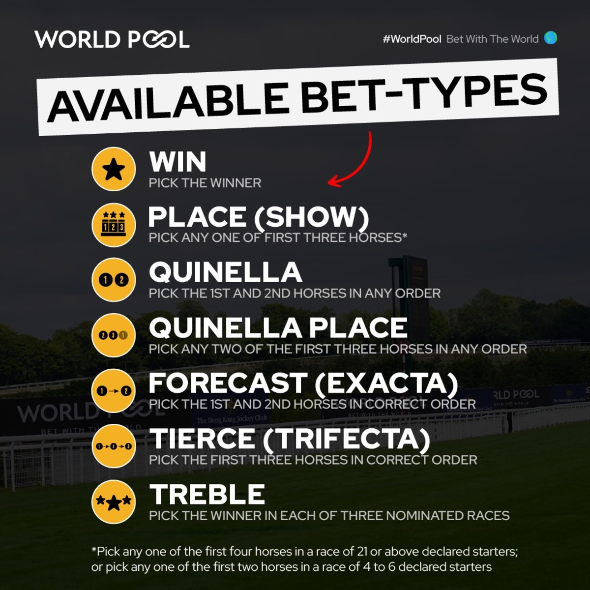World Pool Study Guide: Leveling The Playing Field With Large Betting ...