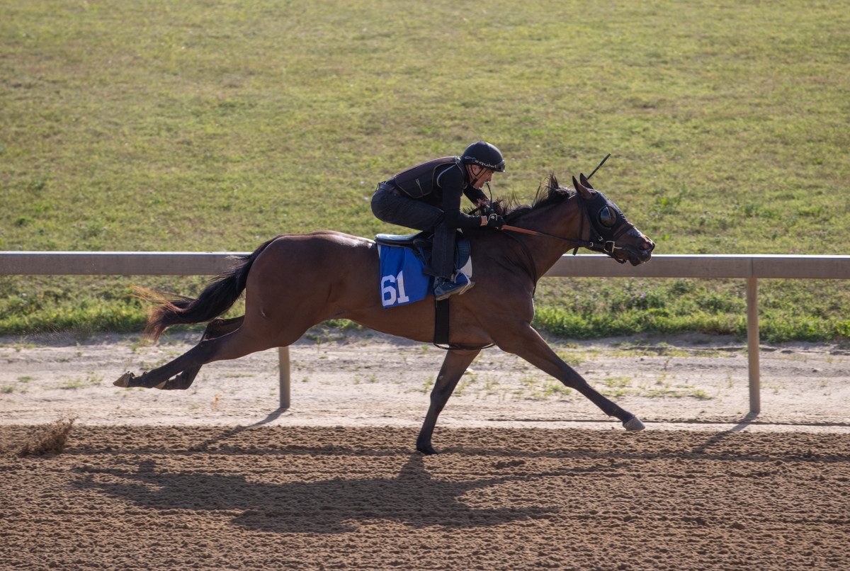 Vekoma Colt, Country House Filly Breeze Fastest Furlongs At Fasig ...