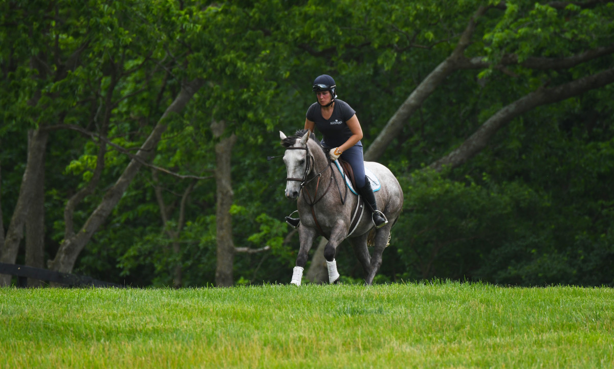 OTTB Training Toolkit Presented by Doc Lane's Veterinary Pharmacy ...