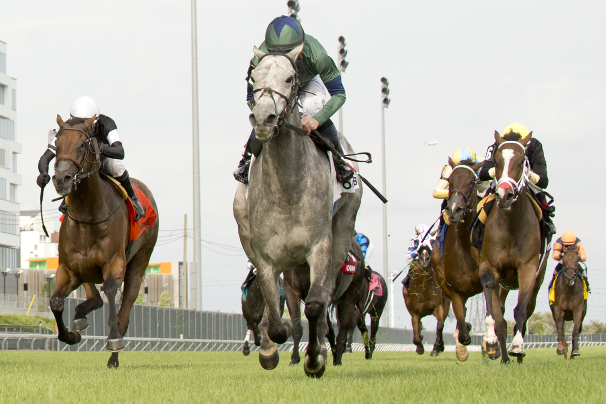 Implicated Charges To Nassau Victory In Woodbine Debut - Paulick Report ...