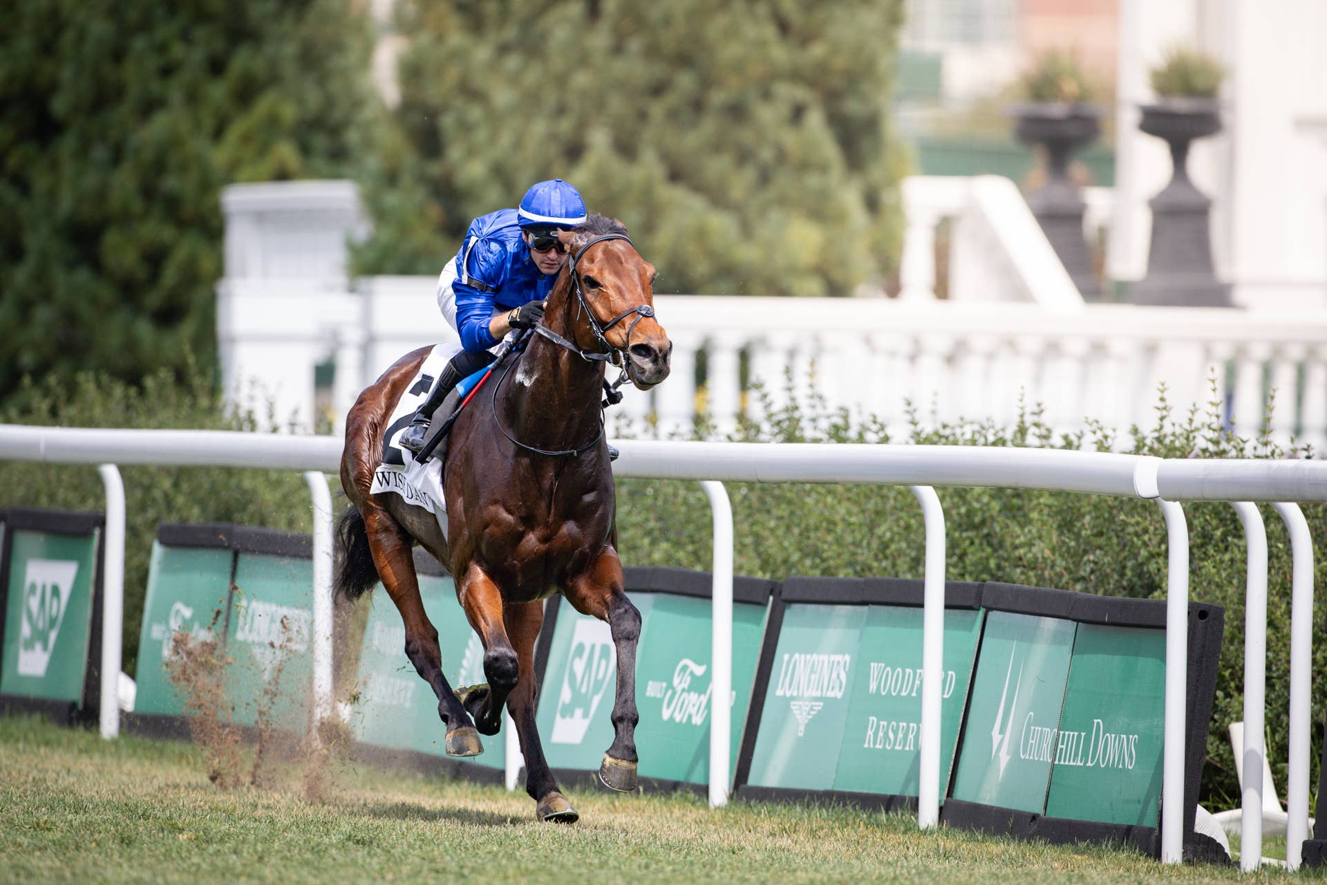 Ottoman Fleet Leads All The Way, Becomes Millionaire In Wise Dan ...