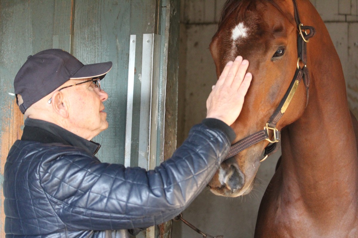 Letter To The Editor: The David Hofmans I Knew - Paulick Report ...