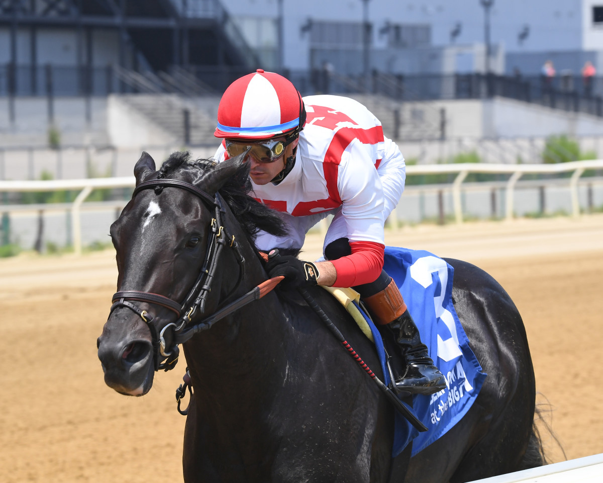 Domestic Product's First Foal Is Colt Born At Hidden Brook - Paulick ...