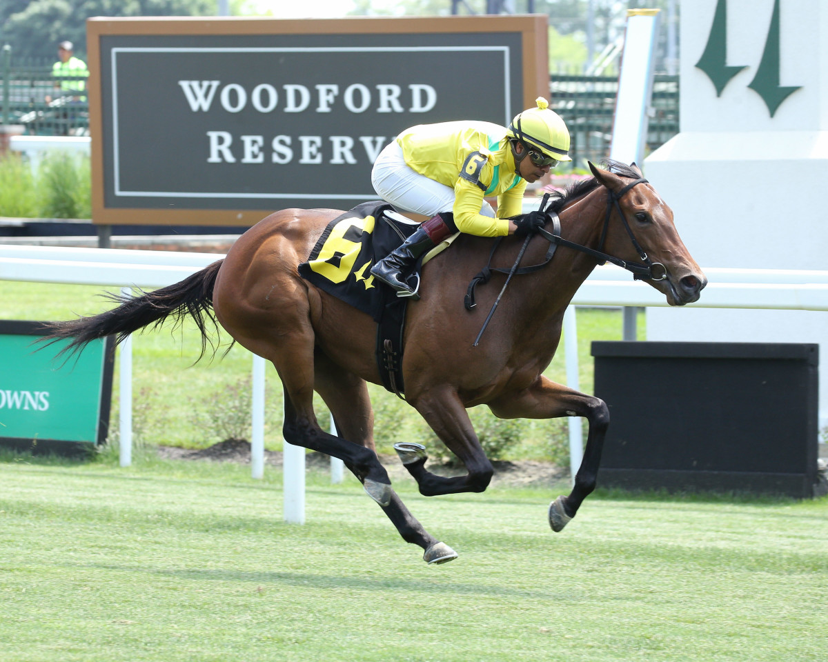 Dew Sweepers Partnership Takes Long-Term Approach To Pinhooking At ...