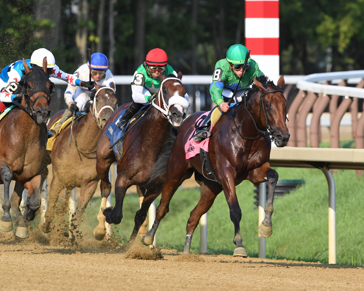 NY-Bred Mo Plex Makes Grade With Front-Running Sanford Victory ...