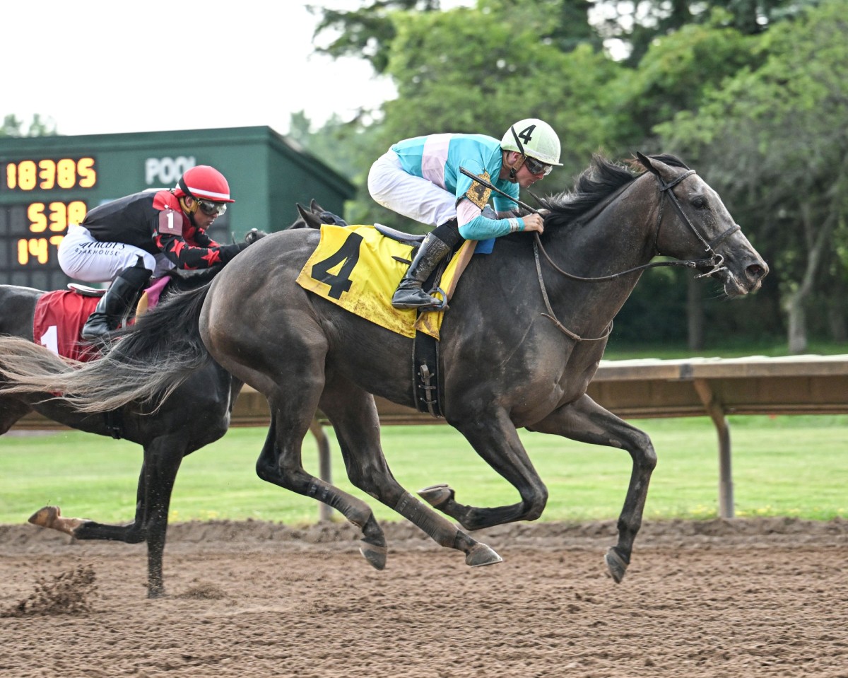 Pandagate Grinds Out Win In New York Derby - Paulick Report | Latest ...