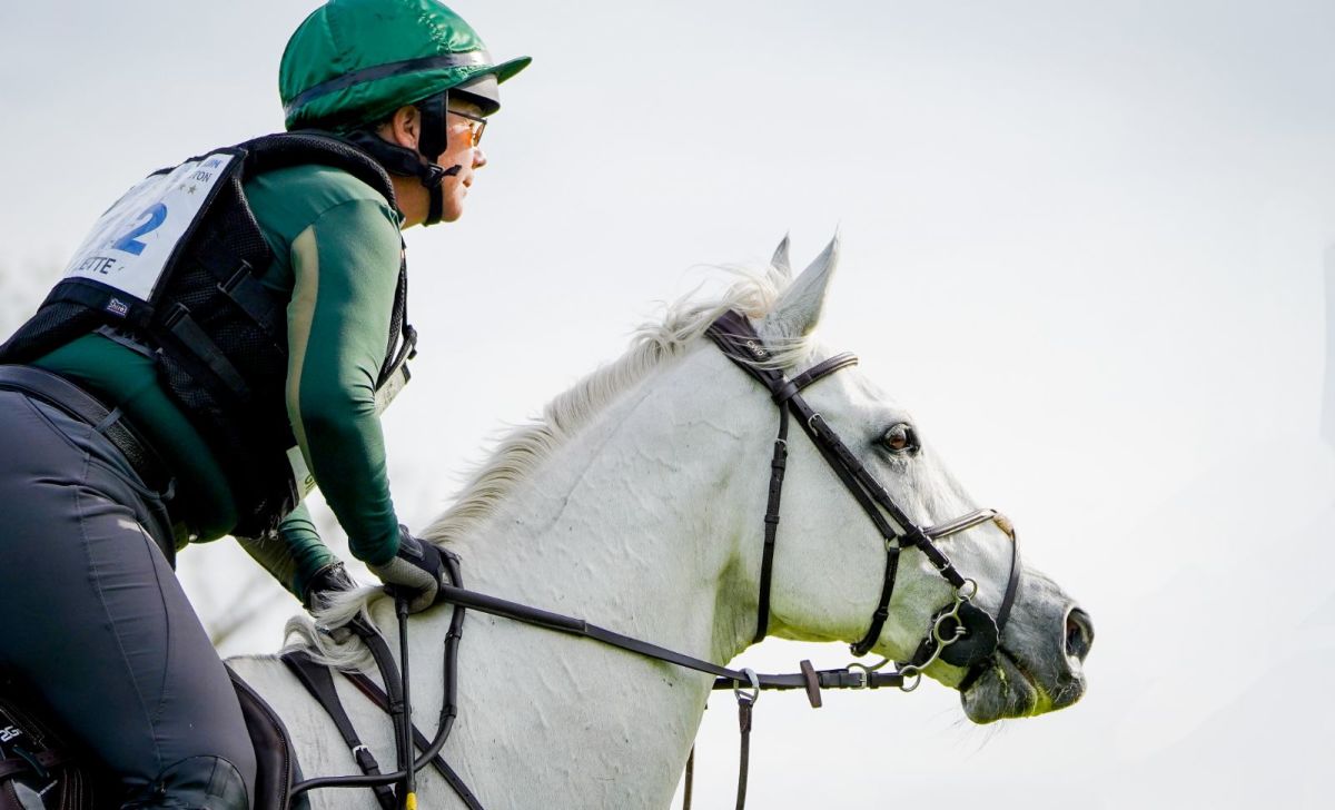 From Tampa Bay To International Eventing, OTTB Vincent Chase’s ...