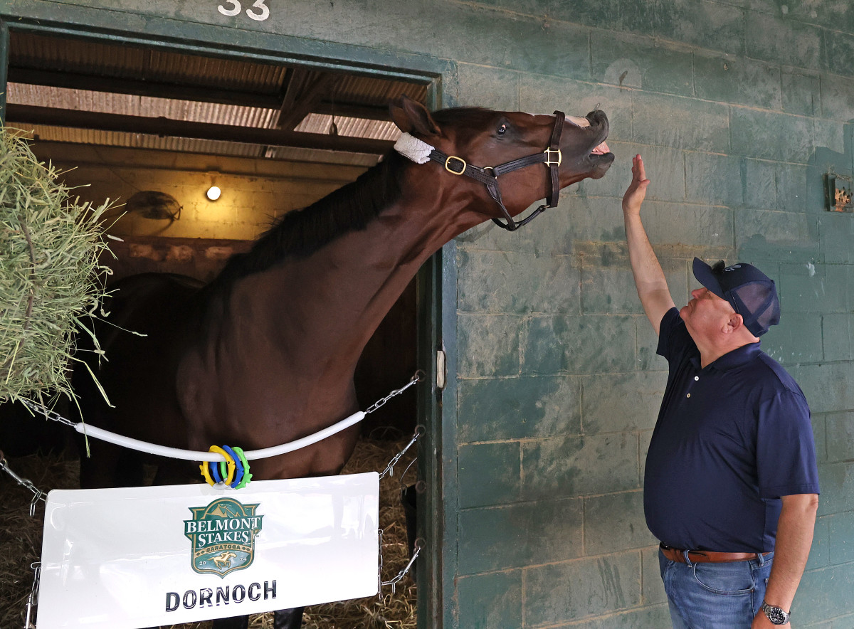 Dornoch Enjoying Down Time At Saratoga Before Gearing Up To Breeders ...