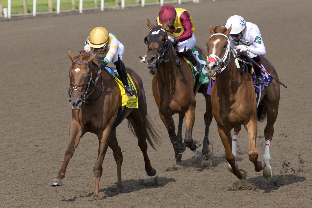 Kin's Concerto Shines In Stakes Debut In Woodbine Oaks - Paulick Report ...