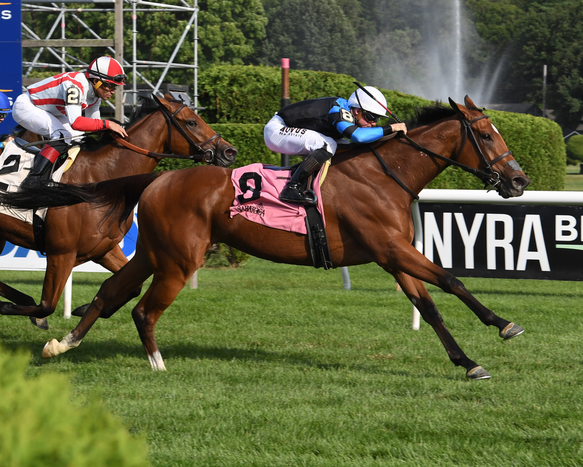 Pounce, Dual Graded Stakes Winner In U.S., Making Australian Debut At ...