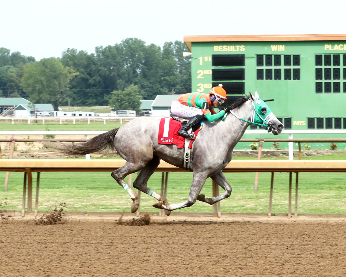 Here Mi Song Scores Repeat Win In Ellis Park's Jeff Hall Memorial ...