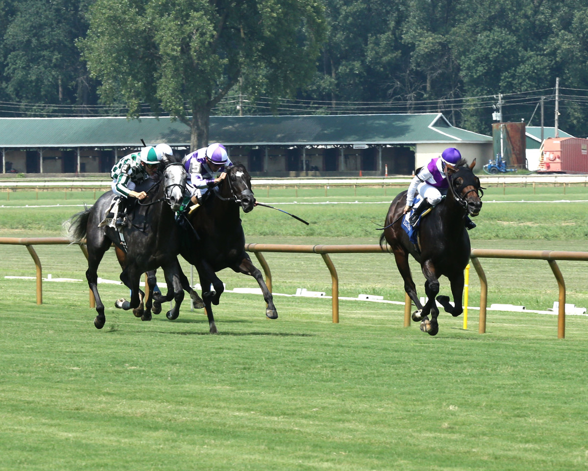 Awesome Treat Wins KY Downs Preview Ladies Turf Sprint, Favorite Ova ...