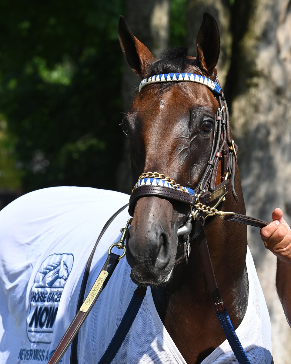 'All To Gain And Not Much To Lose': Ken McPeek Feeling Confident In ...