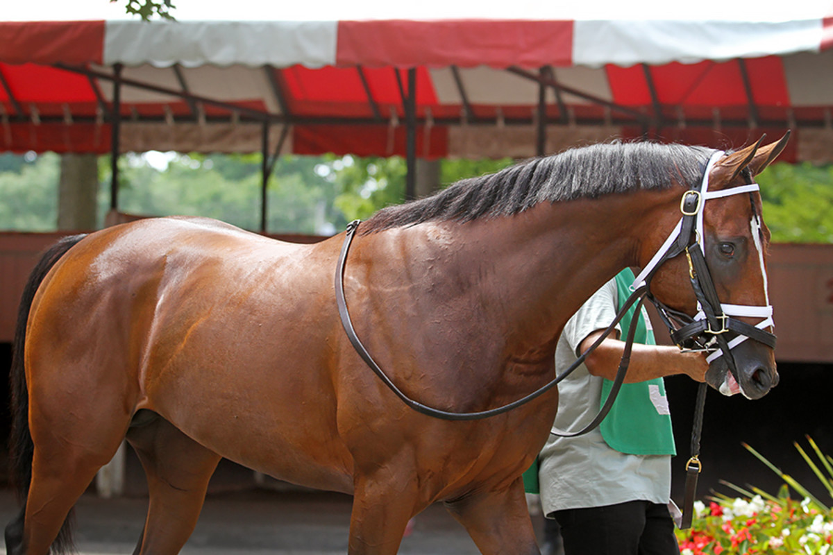 Keeneland Supplements 12 Horses To 2025 Horses Of Racing Age Sale ...