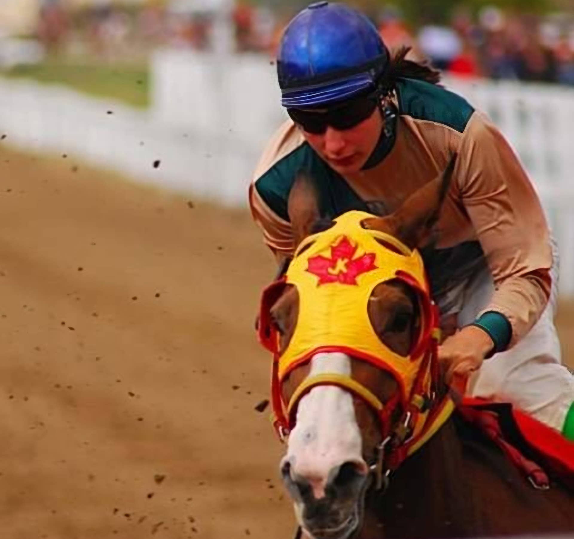 Krista Cole: King's Plate Dream 'Better Than I Could Have Ever Imagined ...