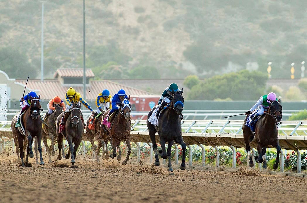 Del Mar Summer: A New Dimension For Adare Manor - Paulick Report ...