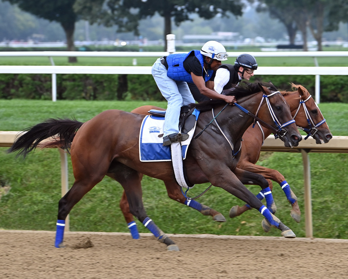 Thorpedo Anna Drills 'Happy' Five Furlongs In Final Travers Breeze ...